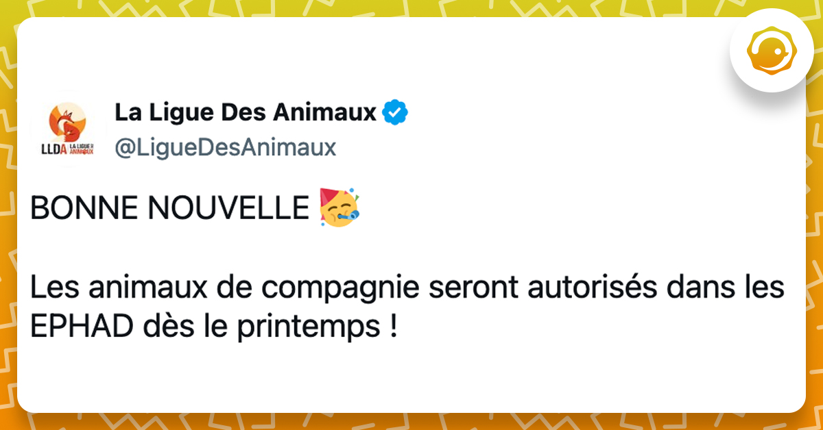 Top 15 des bonnes nouvelles de la semaine : l'Happy Hour #289 - Twog