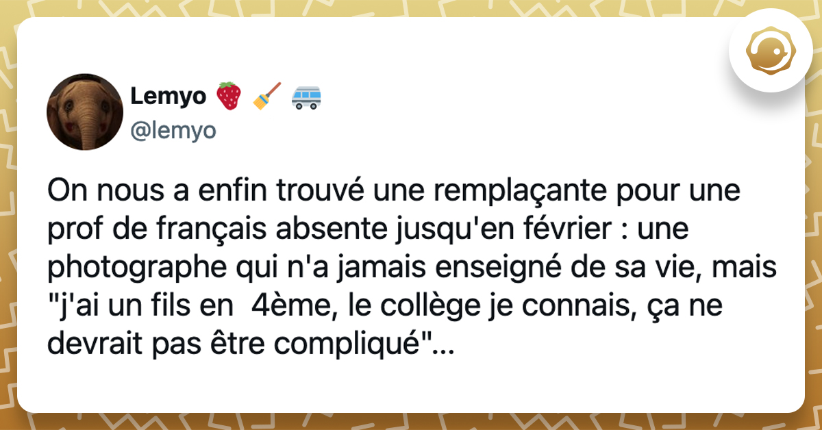 C'est la journée internationale du prof de français ! - Twog