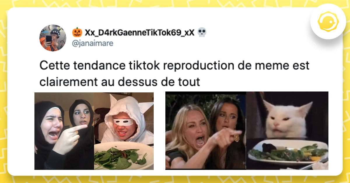 Thread : Recréer un mème en vidéo, la nouvelle mode Tik Tok ! - Twog