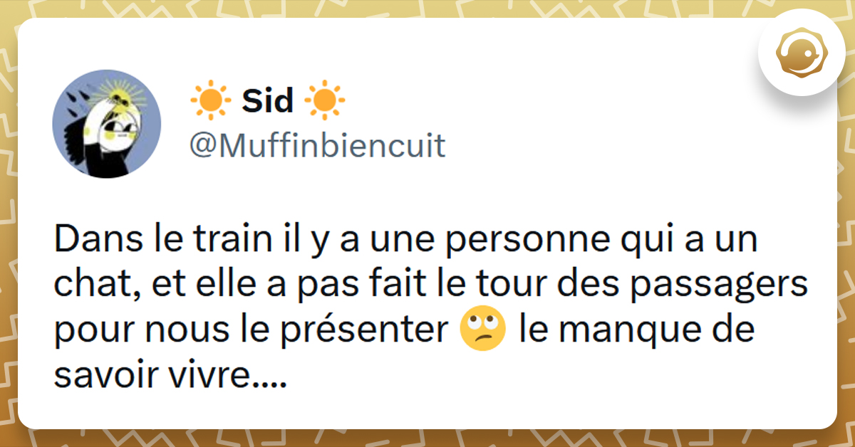 Sélection spéciale dans le train : les meilleurs tweets ! - Twog