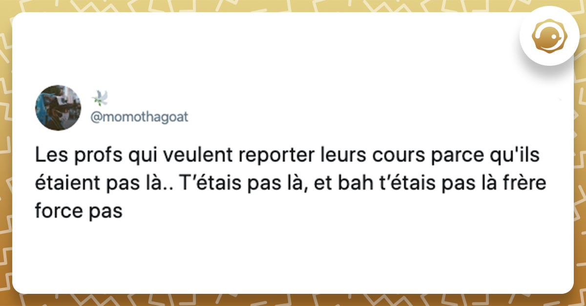 Sélection spéciale profs : les meilleurs tweets ! - Twog