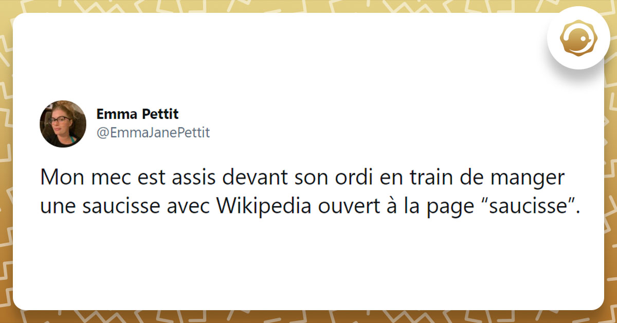 Vos 16 meilleurs tweets sur Wikipedia, c’est écrit donc c’est vrai ! - Twog