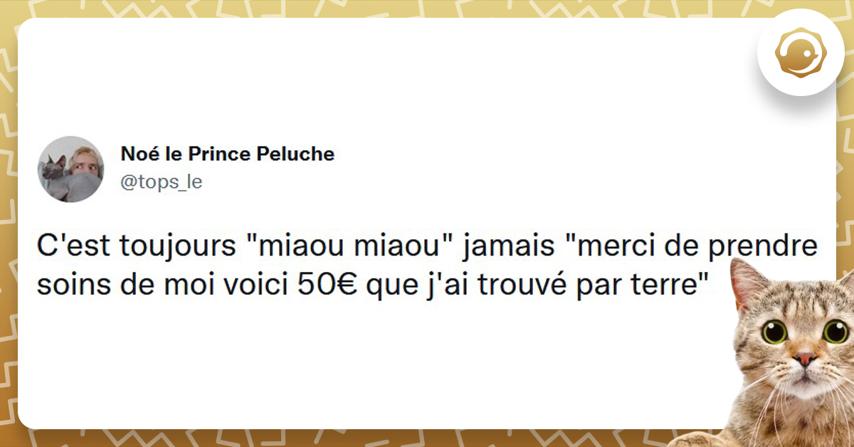 Les 20 meilleurs tweets sur les chats, les best tout simplement - Twog