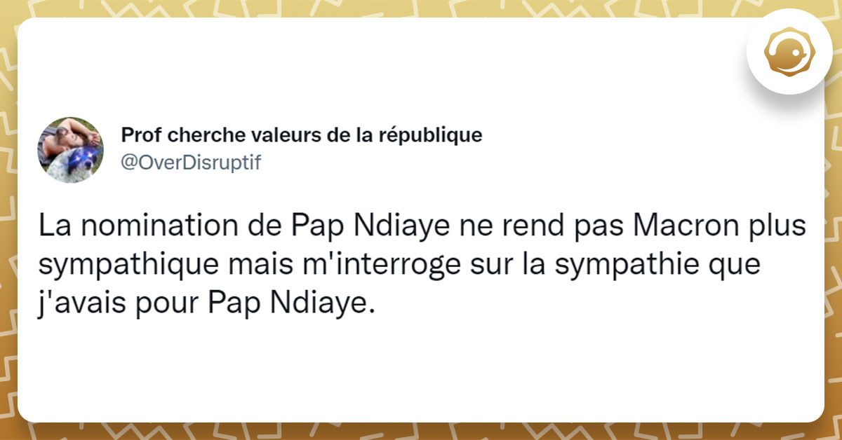Top 17 des tweets sur Pap Ndiaye, LA surprise du nouveau gouvernement