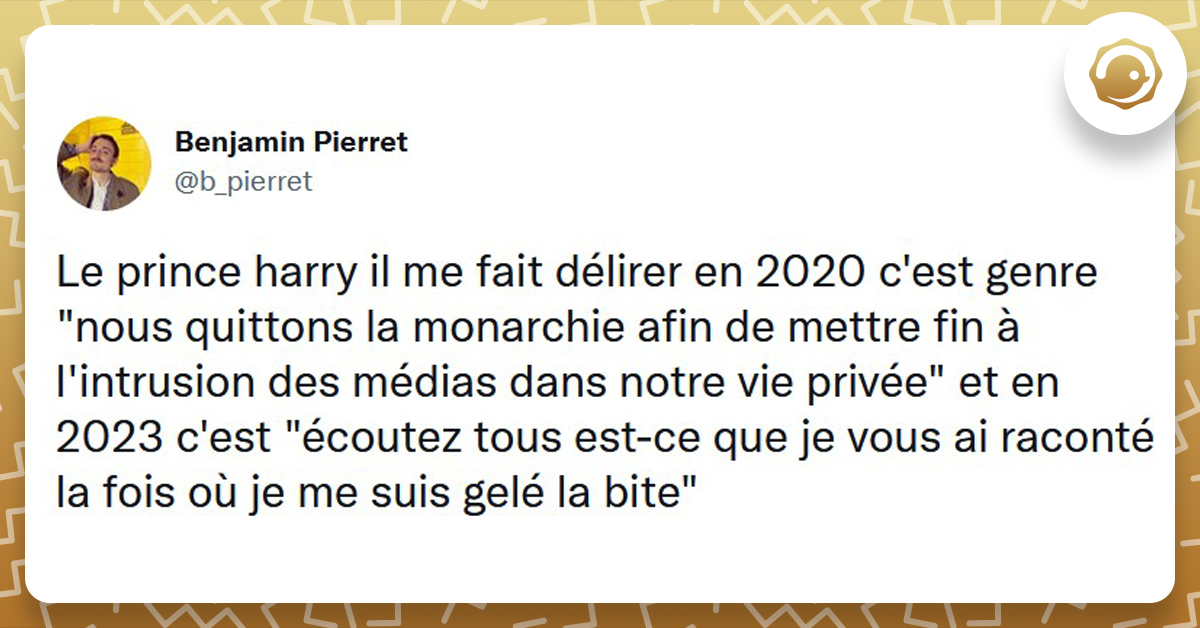 Top 15 des meilleurs tweets sur les mémoires du prince Harry, c'est ...
