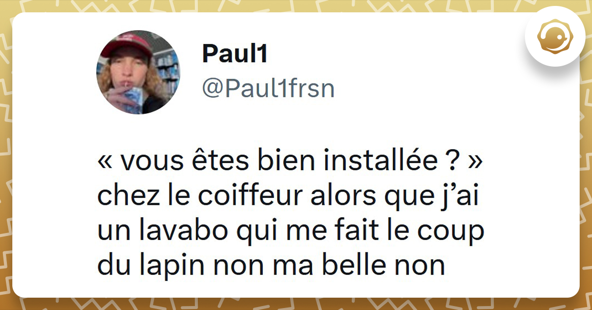 Top 16 des meilleurs tweets chez le coiffeur - Twog