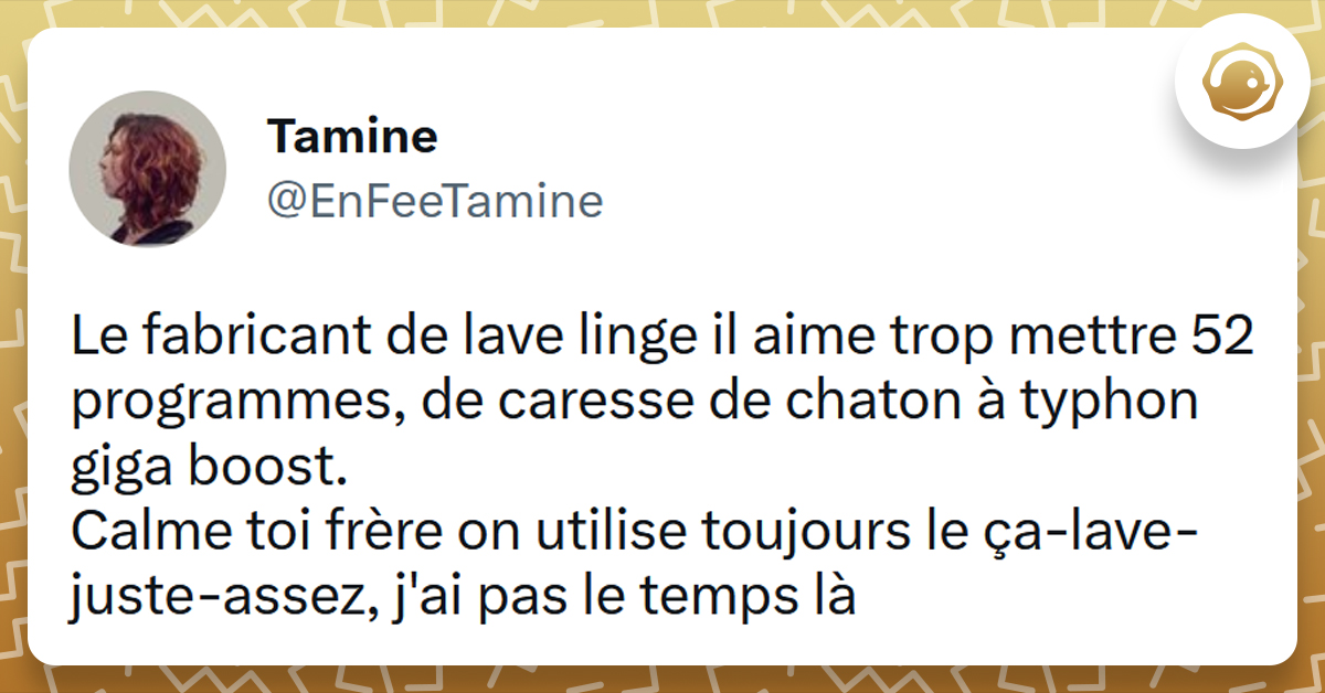Top 15 des meilleurs tweets sur le lave-linge, c'est bien pratique ...