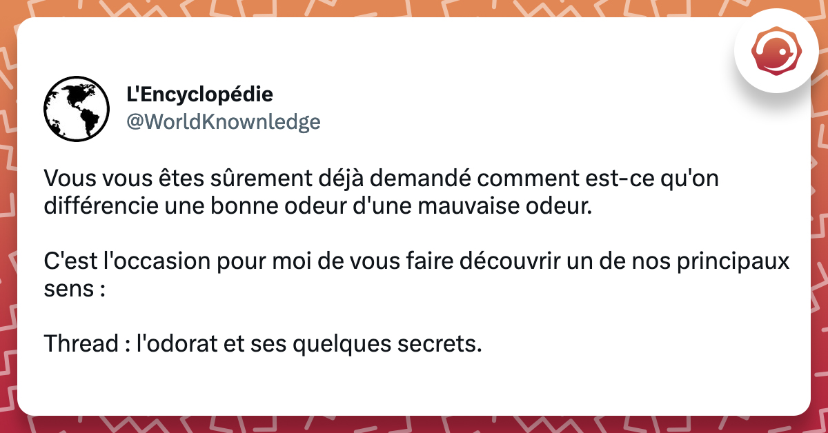 Thread : l'odorat et ses secrets - Twog