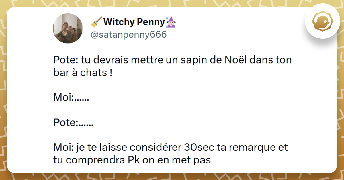 Top 15 des meilleurs tweets sur les bars à chats - Twog