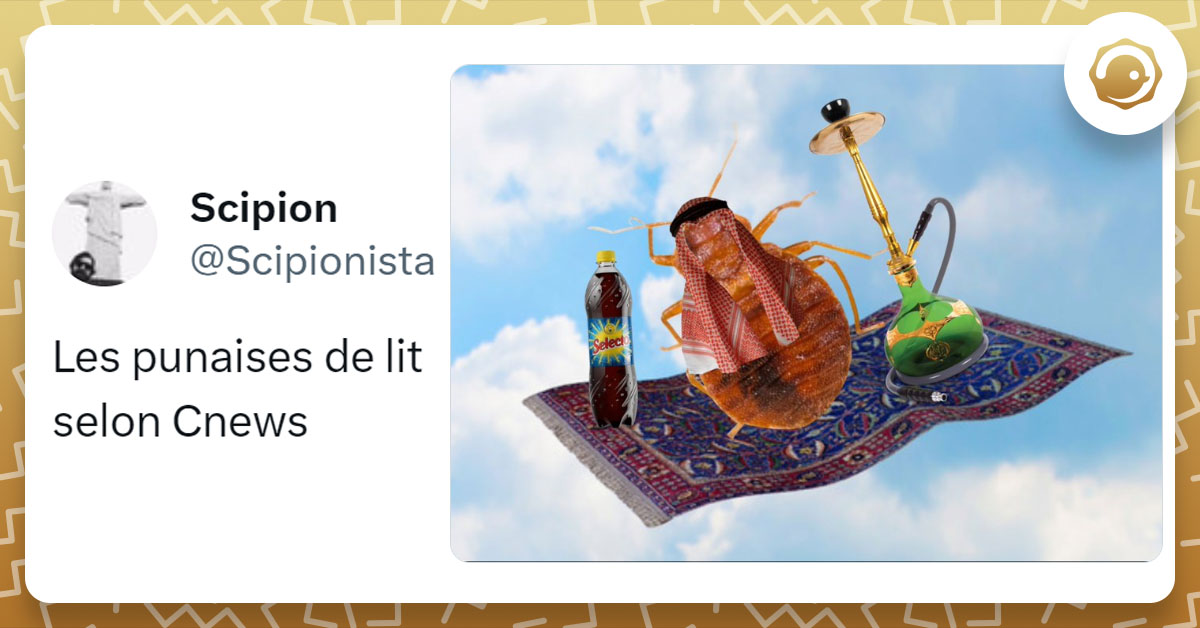 Quand Pascal Praud Fait Le Lien Entre Punaises De Lit Et Immigration Twog