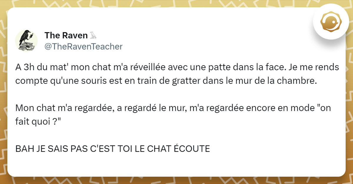 Les 15 meilleurs tweets du mois sur les chats, miaou - Twog