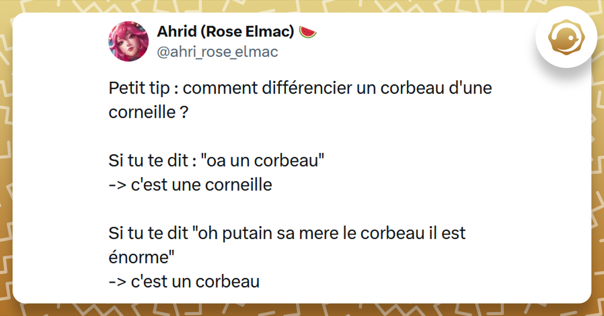 Les 15 meilleurs tweets de @ahri_rose_elmac - Twog