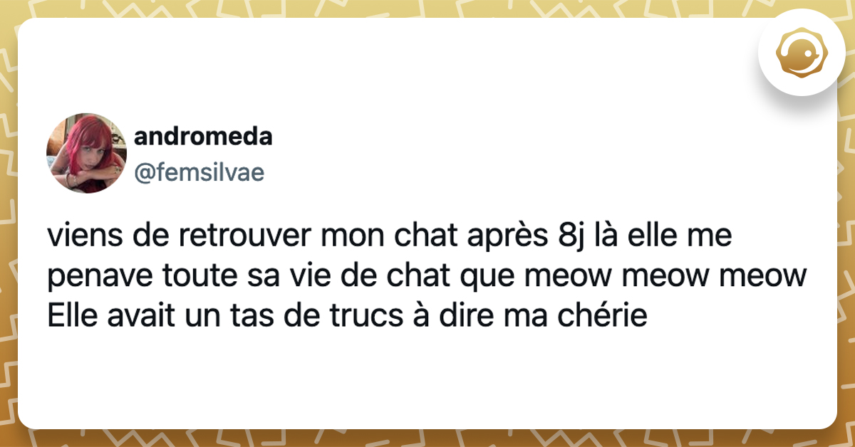 Top 20 des meilleurs posts sur les chats - Twog