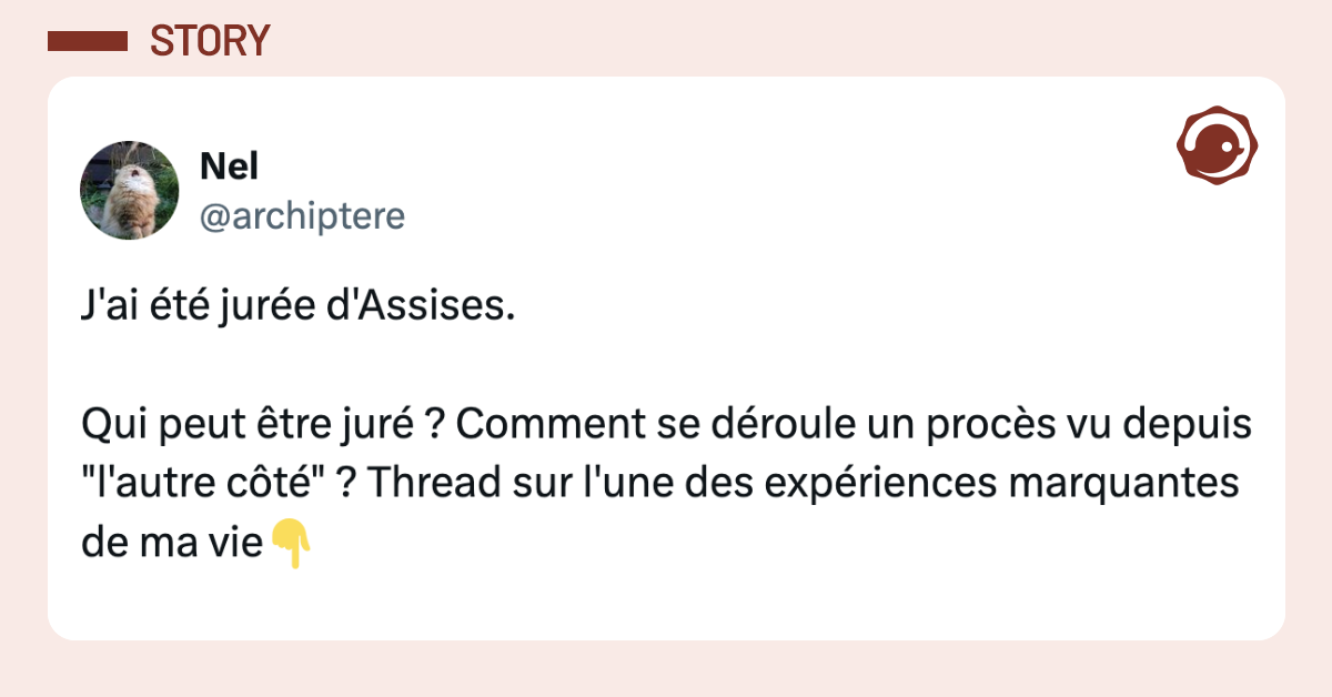 Mon expérience en tant que jurée d'assises (ce qui vous arrivera peut ...